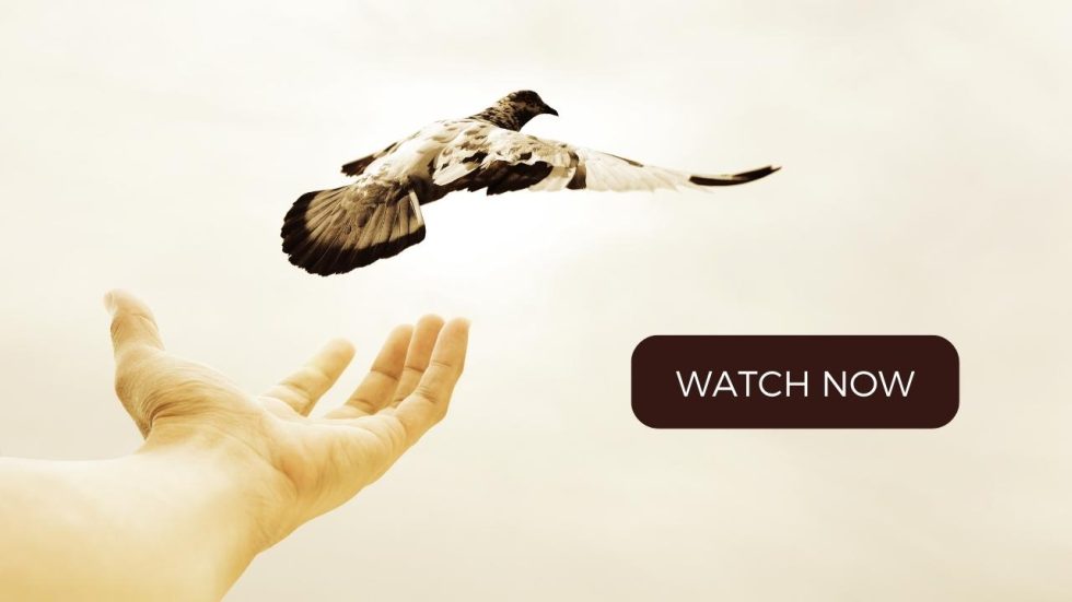 Pastor Mark Biltz | El Shaddai Ministries