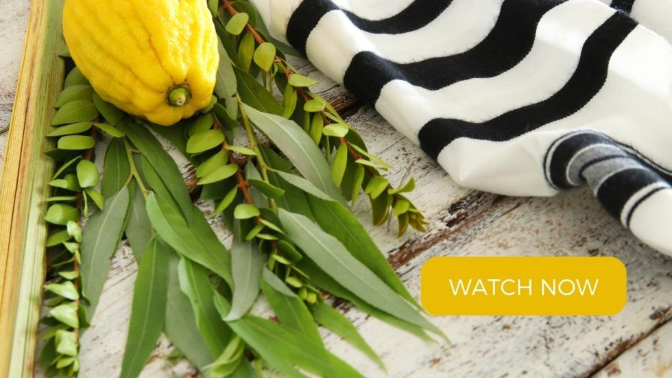 Pastor Mark Biltz | El Shaddai Ministries